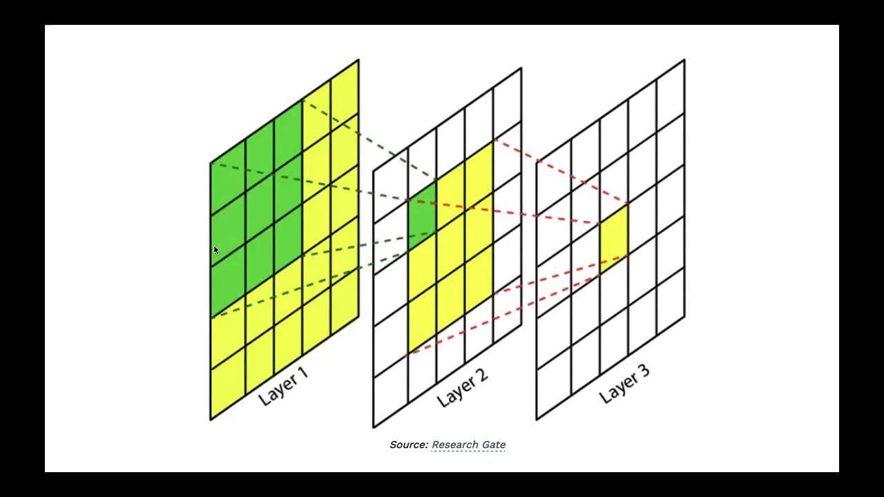ECS 289G Talk: Understanding Robustness of Transformers for Image Classification - YouTube