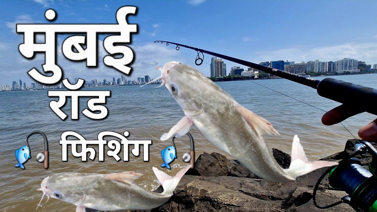 Mumbai rod fishing !! New spot in mumbai #fishing #adventure - YouTube