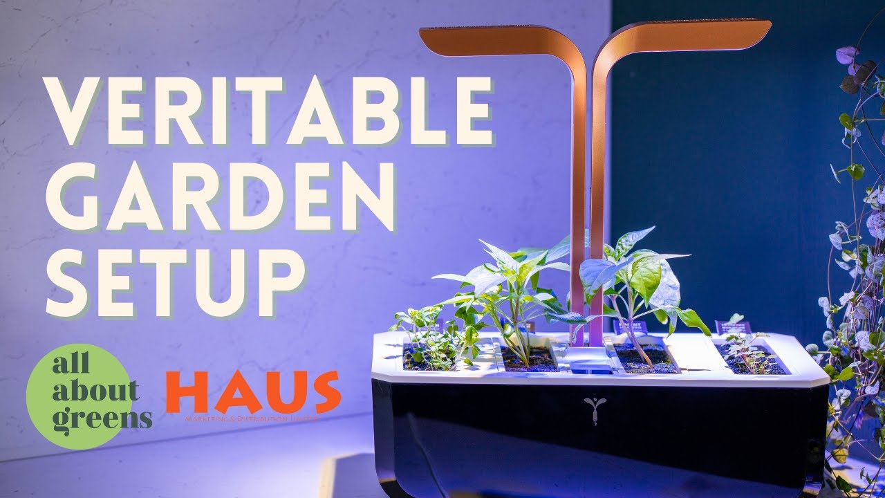 Setting Up a VERITABLE GARDEN - All About Greens x In The Haus - YouTube