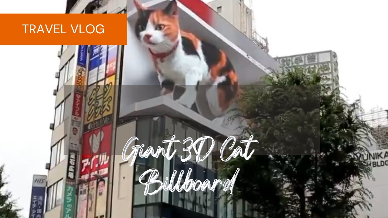 Giant 3D Cat Billboard | Shinjuku Train Station, Tokiyo, JAPAN - YouTube