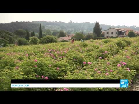 Grasse, la ville aux mille parfums