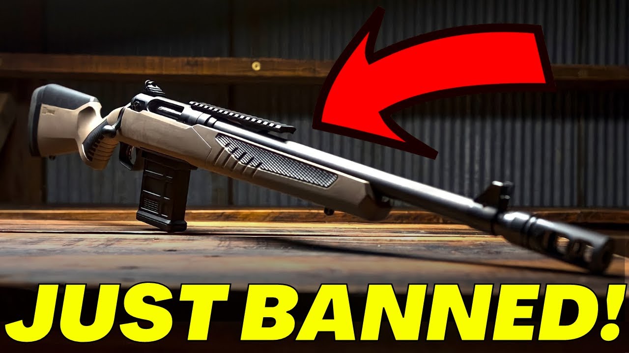 TOP 7 BEST Scout Rifles For SURVIVAL 2024 | Review - YouTube