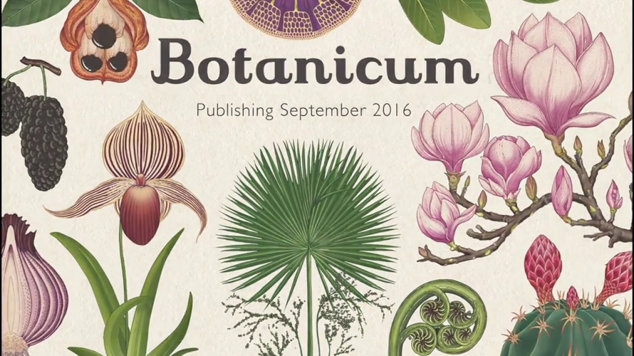 Welcome to the Museum: Botanicum - YouTube