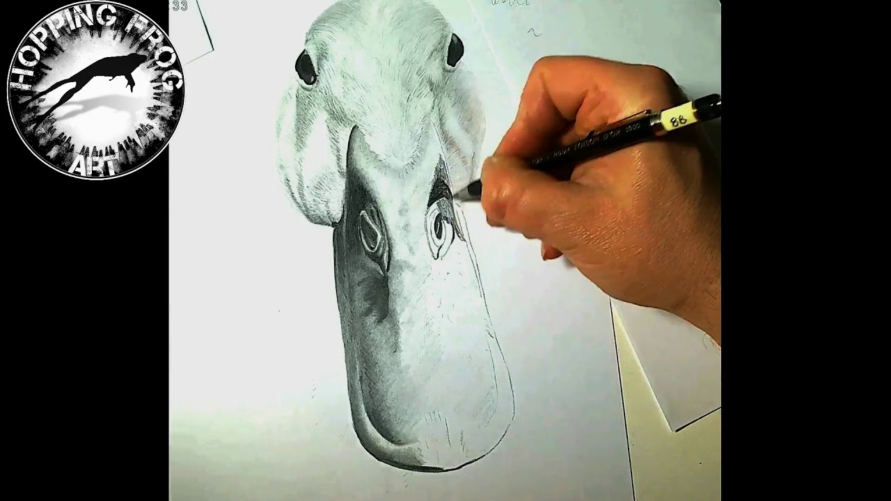 Timelapse drawing of an Indian Runner Duck. - YouTube