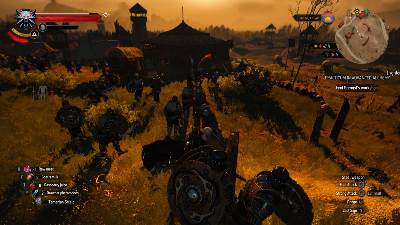Witcher 3 Great Battle Ever !!! (over 200 npc fighting) #witcher # ...