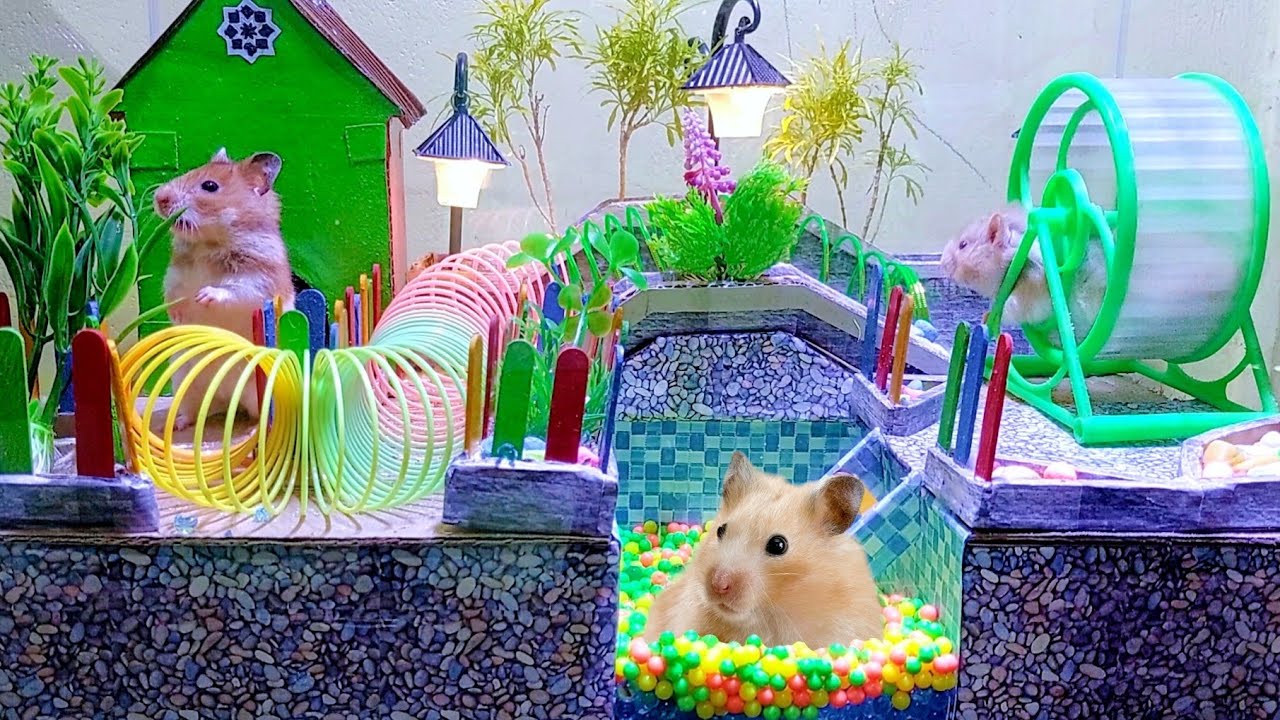 🐹 DIY hamster maze decoration swim in the pool 🐹 2 🐹 - YouTube