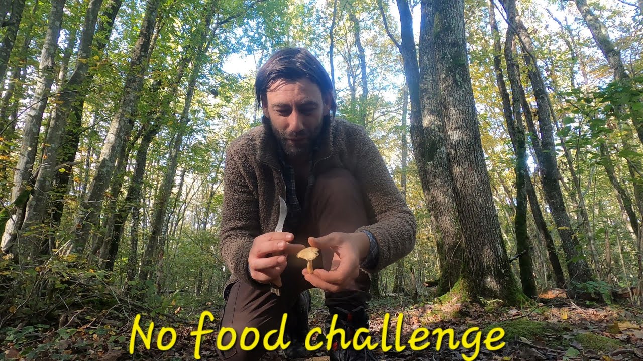 NO FOOD CHALLENGE #nofood #challenge #mushrooms #foraging #wild # ...