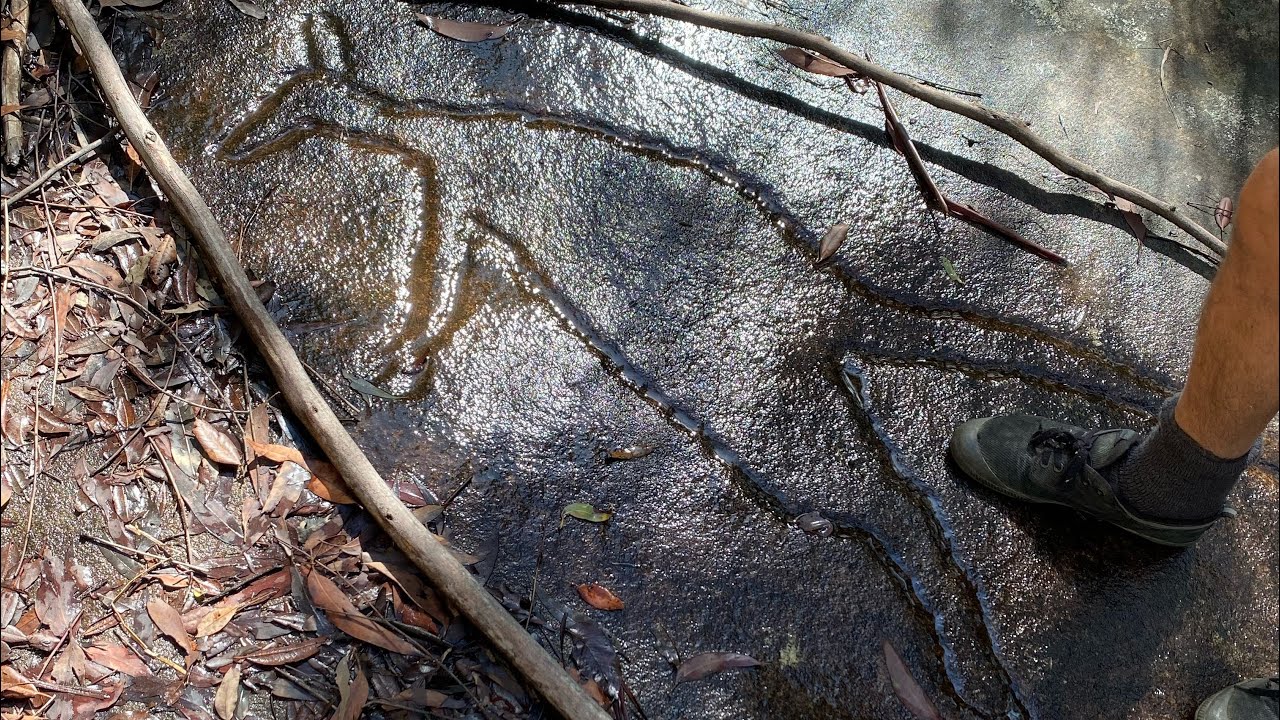 Aboriginal Blue Mountains Walkabout with Evan Yanna Muru | Australia ...