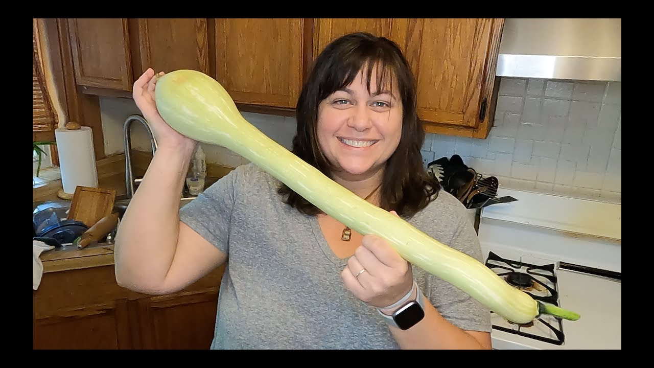 Biggest Zucchini Ever: Tromboncino Squash | Harvest, Pests, and ...