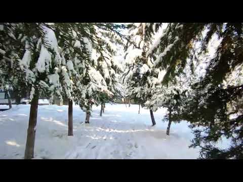 Şamaxı rayon Heydər Əliyev Parkından göz oxşayan qarlı görüntülər