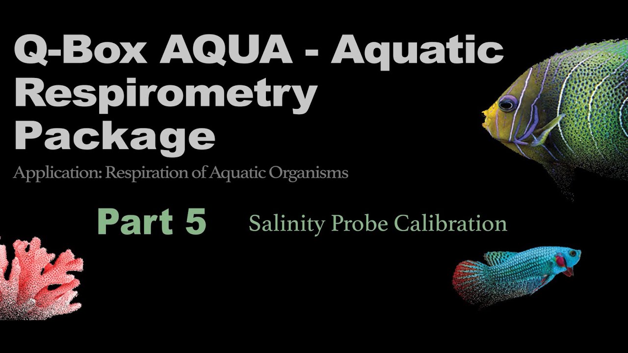 AQUA Part5 - Salinity Probe Calibration - YouTube
