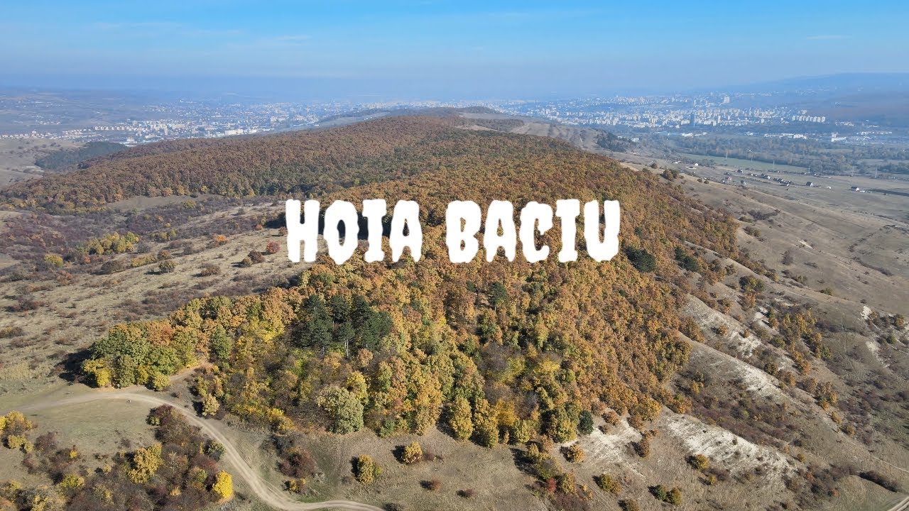 Hoia Baciu Forest (Most haunted forest in the world) Cluj Napoca ...