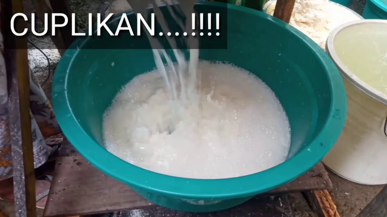 Proses pembuatan sagu papeda - YouTube