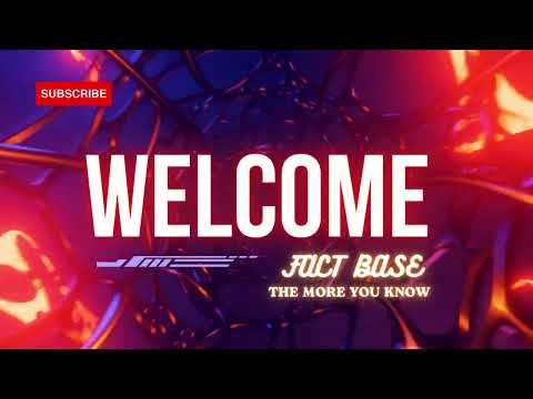 Welcome to Fact Base; Journey to unraveling your true self.