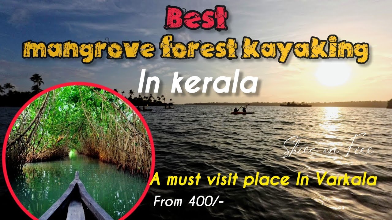 Best Kayaking in Varkala | Paravur Island | Mangrove forest | From Rs ...