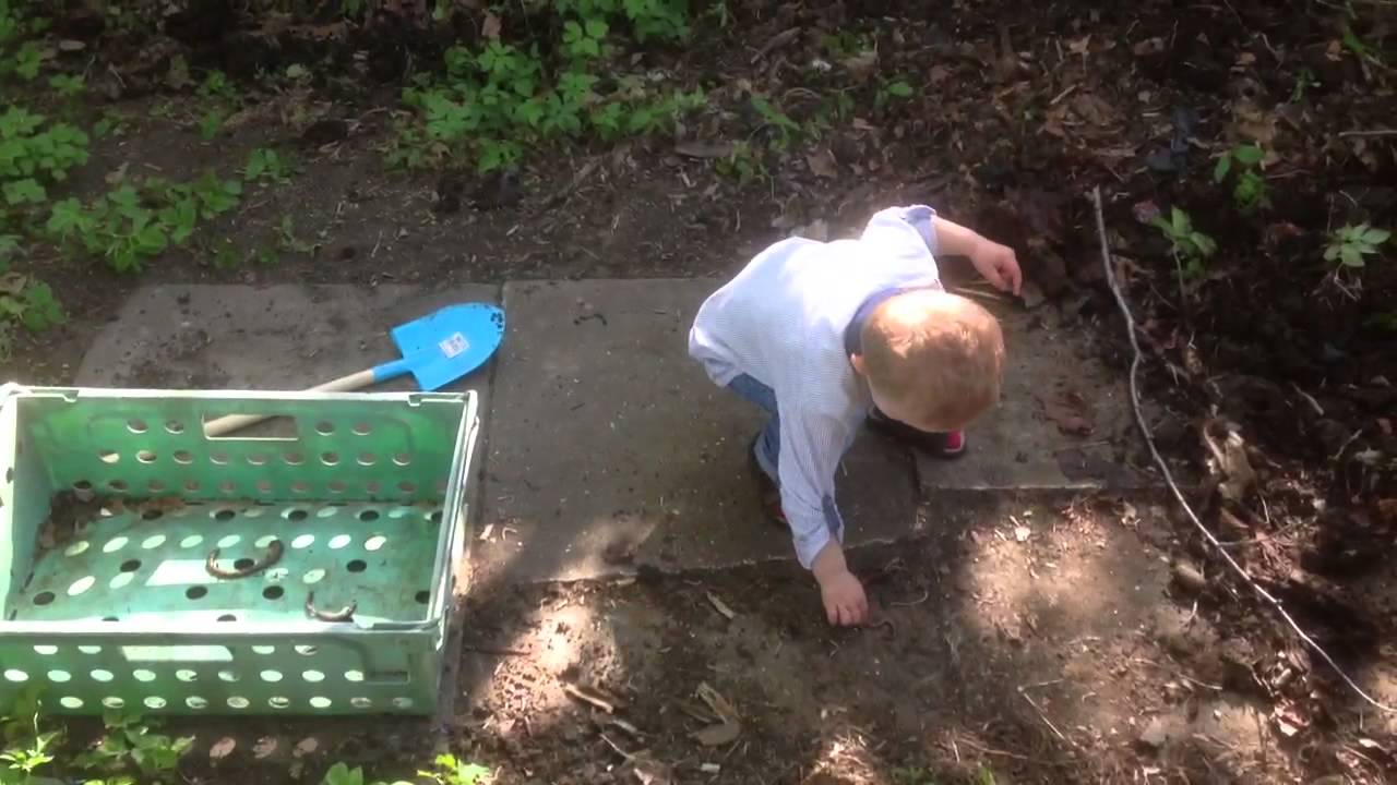 Digging for worms - YouTube