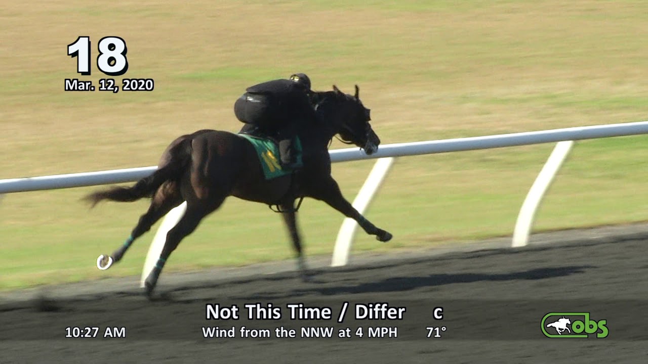 OBS March 2020 Under Tack #1-227 - YouTube