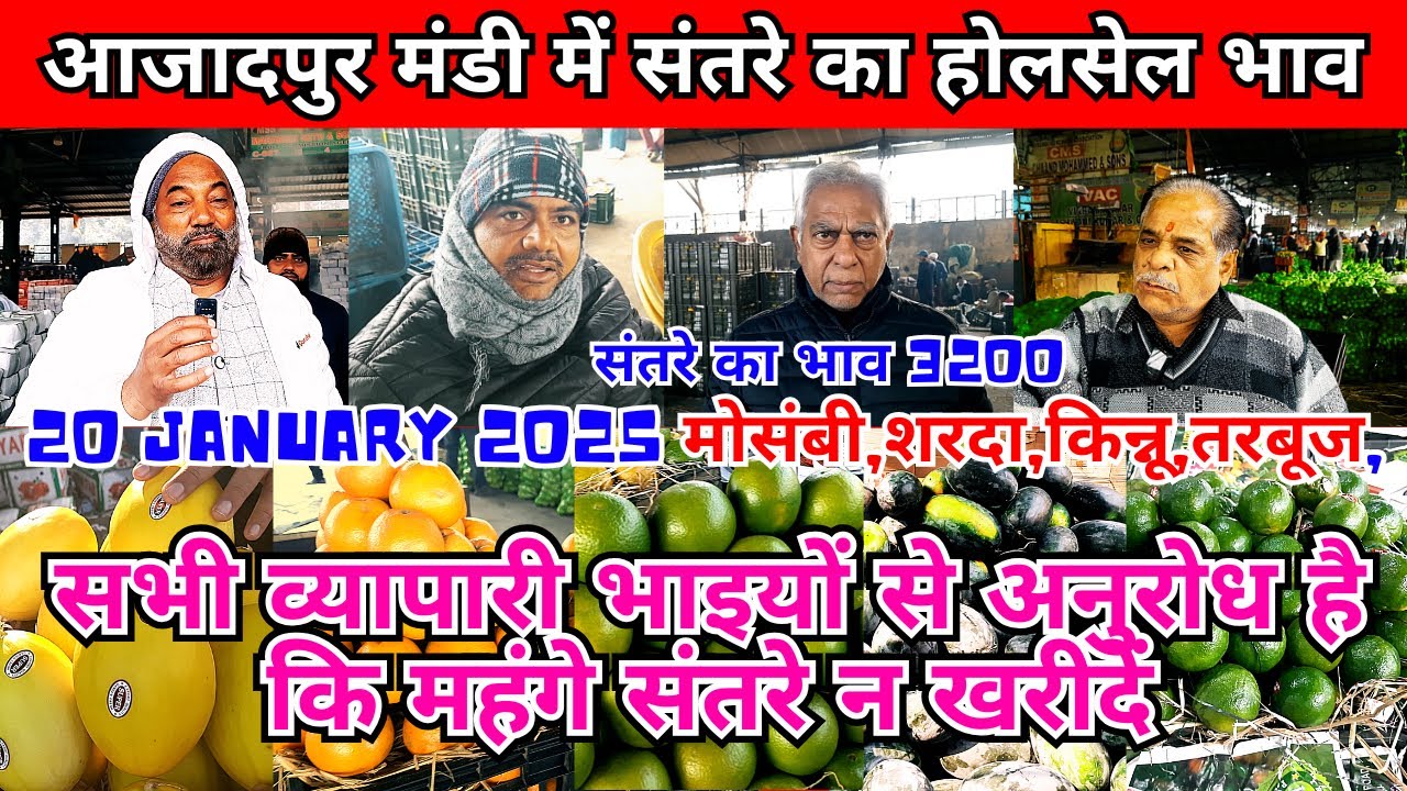 20 January 2025 आजादपुर मंडी में संतरे का होलसेल भाव | #azadpur mandi ...