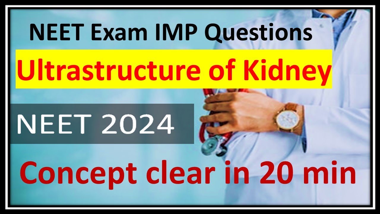 L S kidney || Structure of Kidney ||| Excretory system || Function of ...