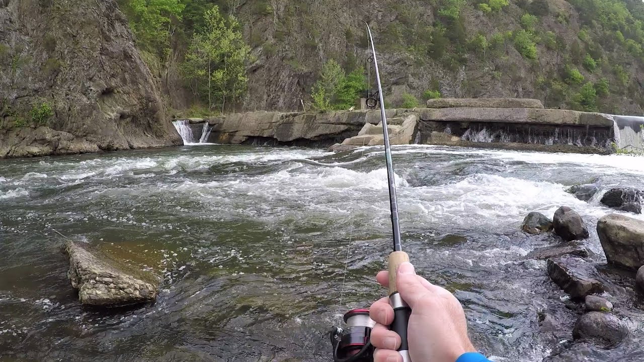 RIVER Fishing For ANYTHING That Will Bite (I SAVED a Fish's Life ...