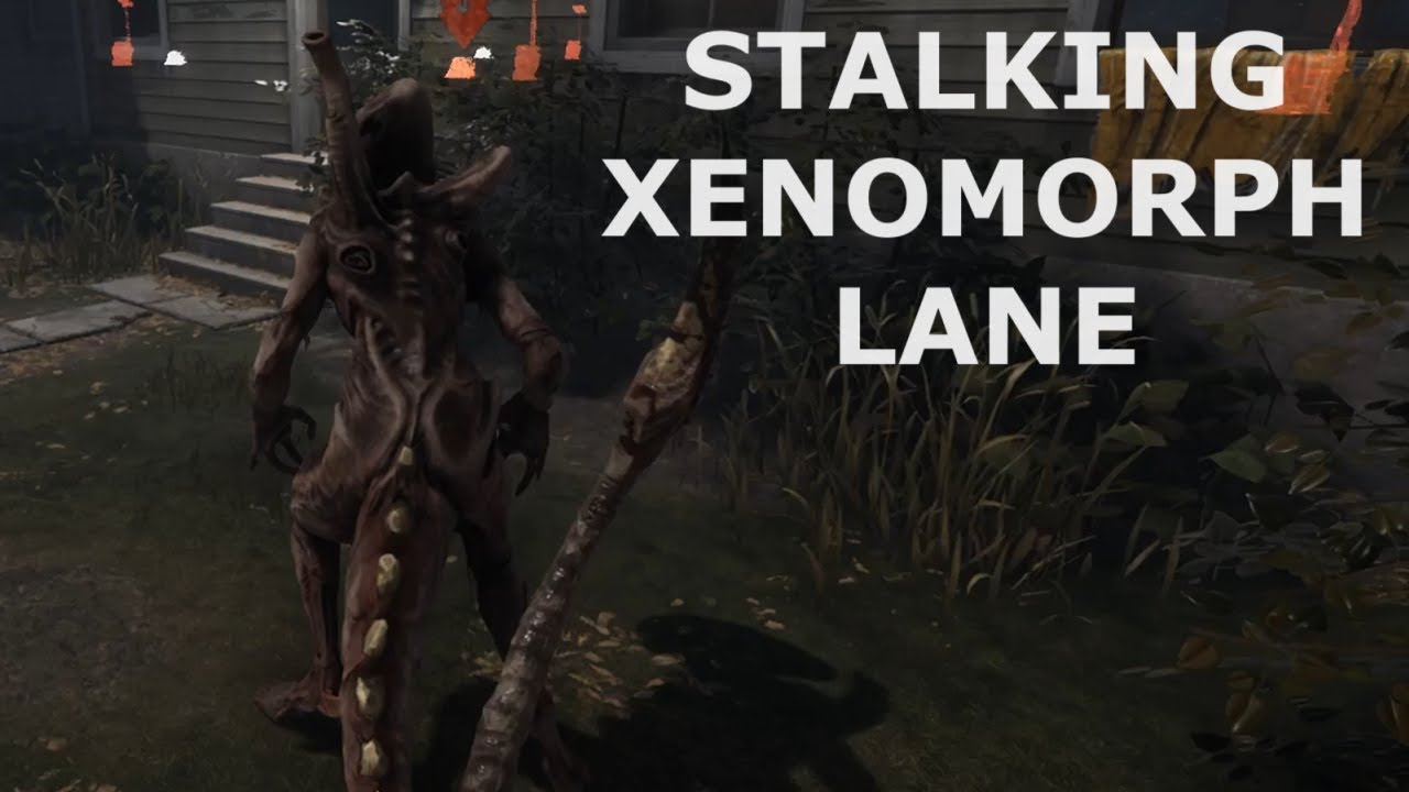 Stalking Xenomorph Lane | DEAD BY DAYLIGHT #dbd #xenomorph #intothefog ...
