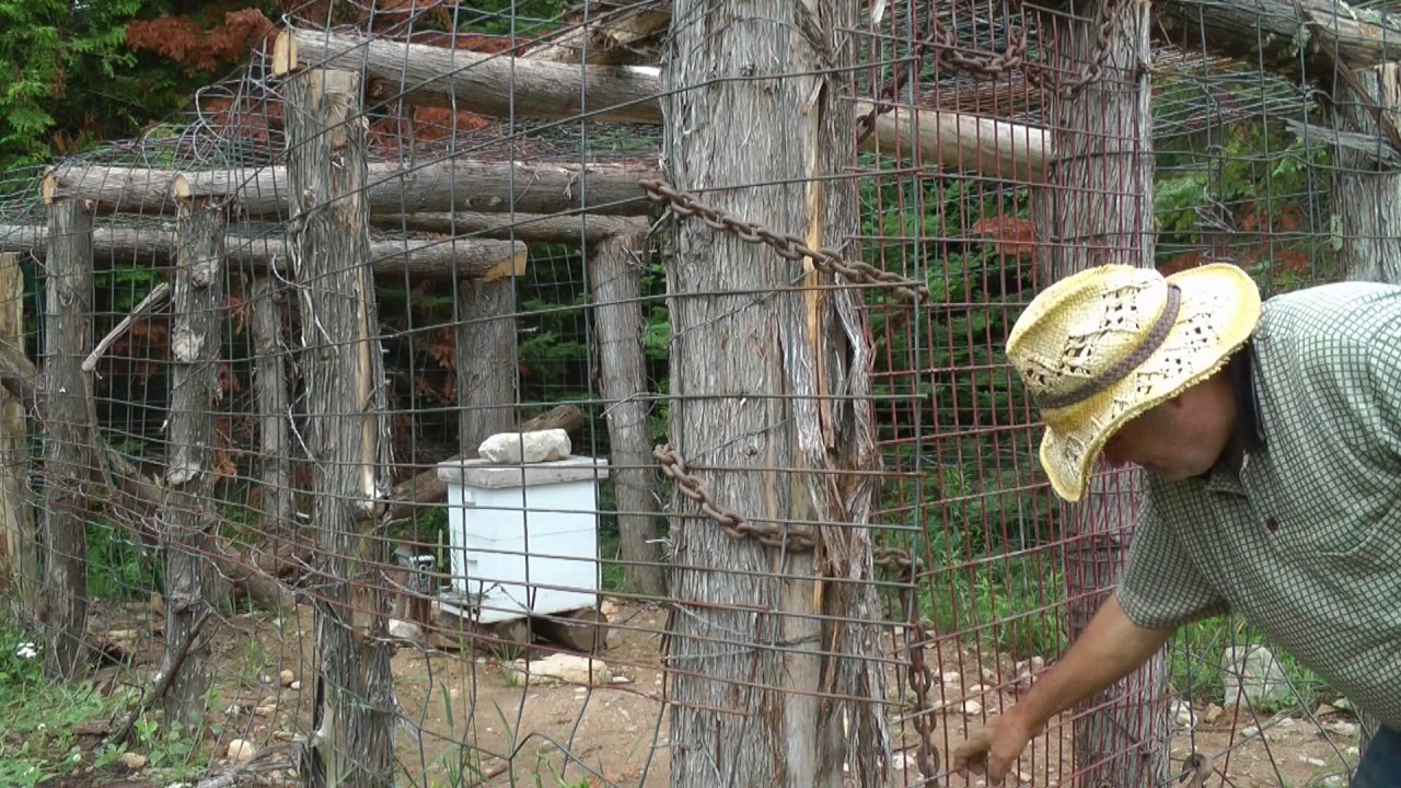 Building a Bear-Proof Apiary - Part two - YouTube