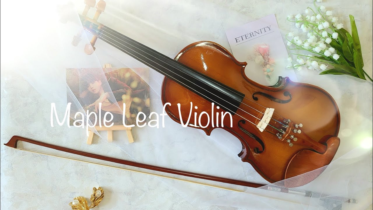 [Unboxing] Made in Taiwan - Maple Leaf Violin & Accessories for ...