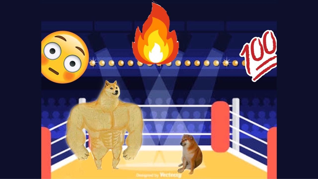 PERRO MUSCULOSO VS PERRO CHIQUITO|| La Historia detrás del MeMito - YouTube