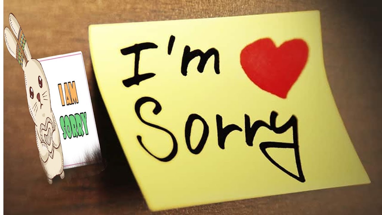 I'm sorry It's OK song - YouTube