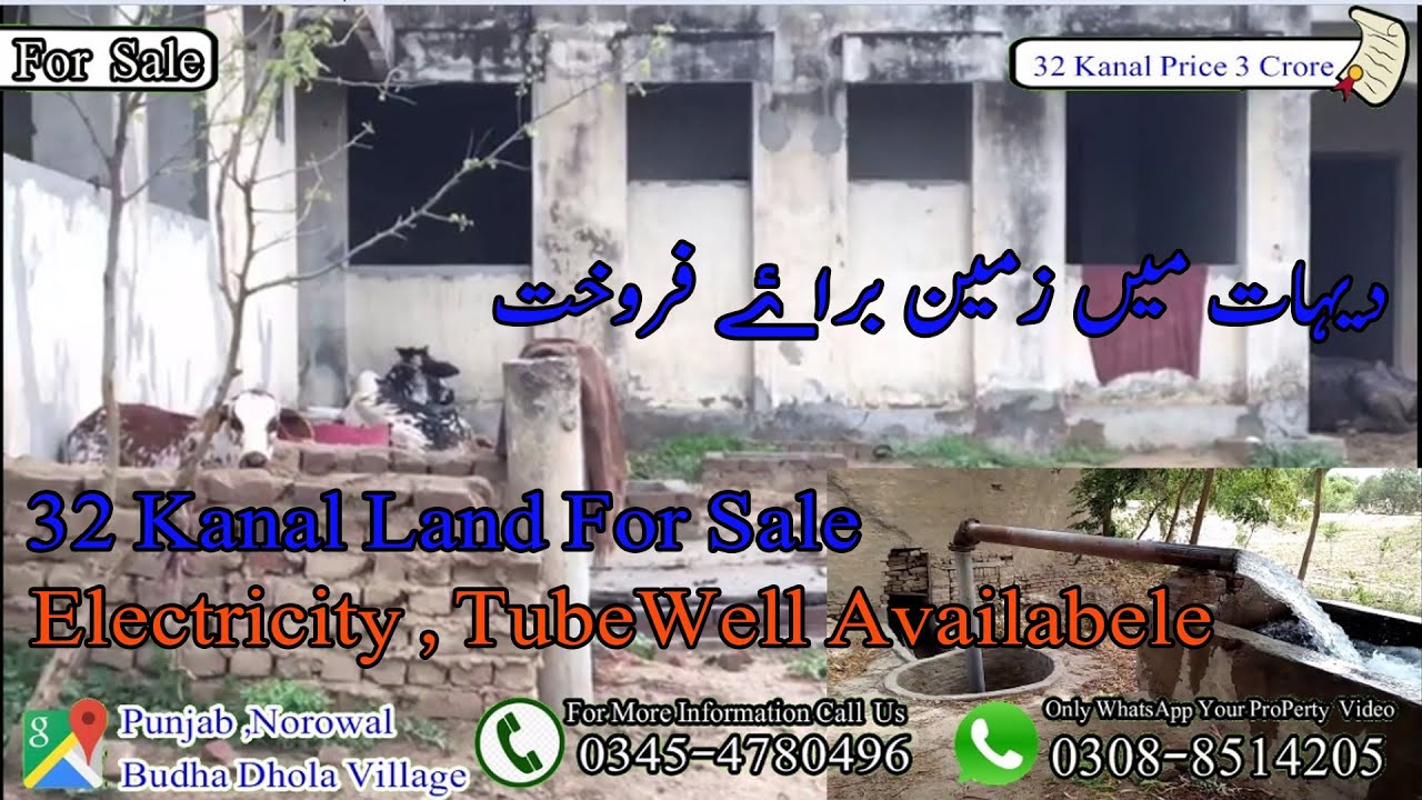 32 Kanal ||Budha Dhola Village|| Near Norwal Land For Sale|| - YouTube