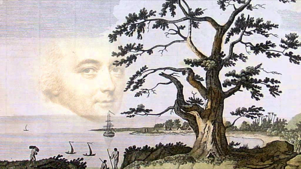 The Mutiny Aboard HMAV Bounty 1789 - YouTube