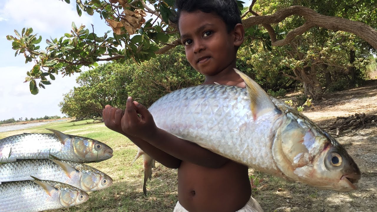 village kids cooking fish fry Indian Style | Traditional Fish Gravy ...
