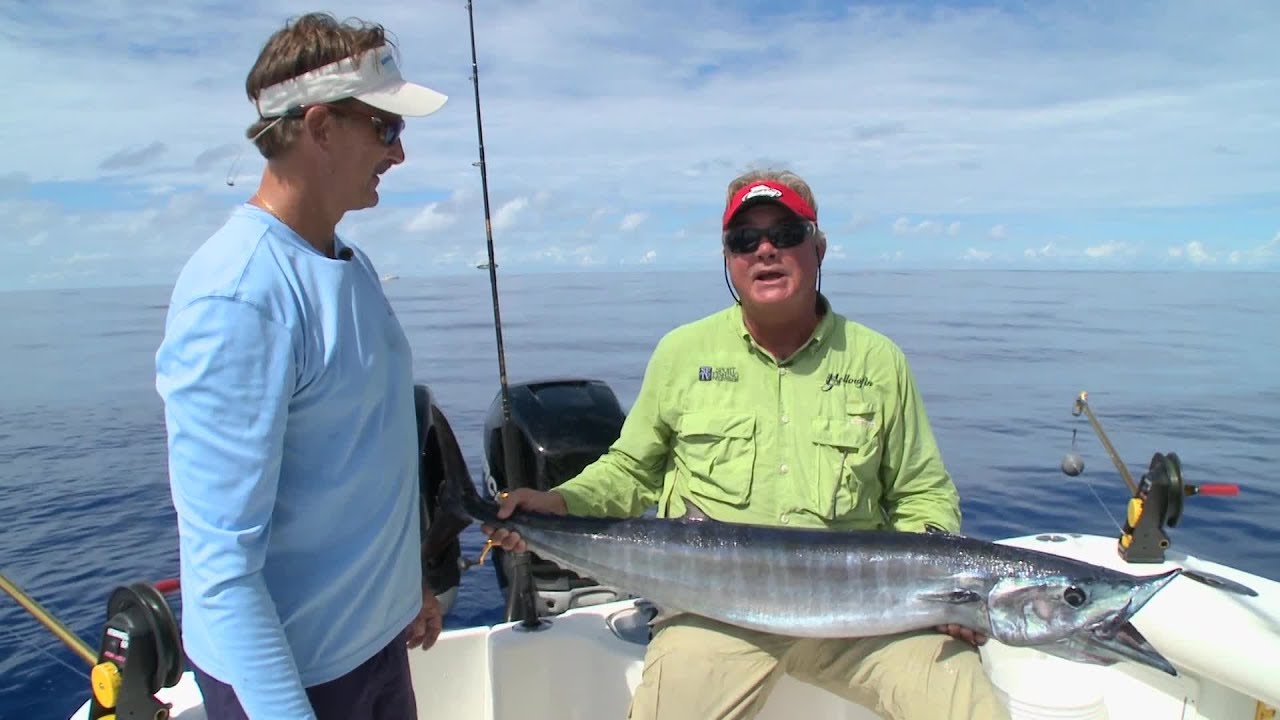 Wahoo Wonderland - YouTube