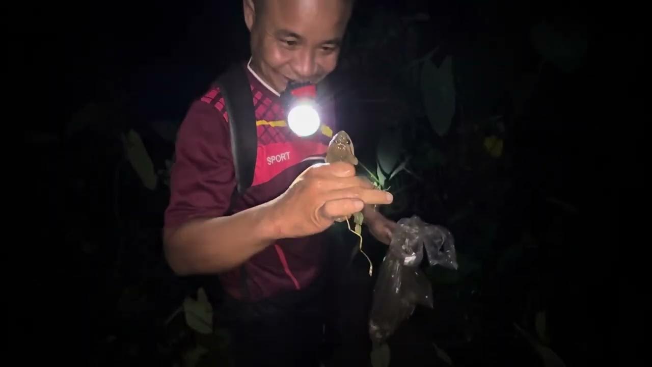 29 November BE 2567 Thara Htoo Paw catches frog at night. So fun. - YouTube