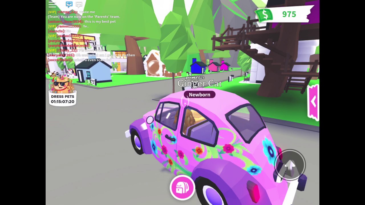 Face reveal & adopt me! - YouTube