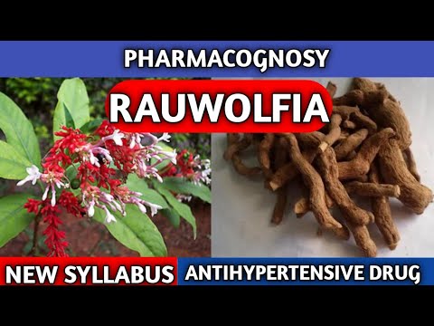 Rauwolfia Pharmacognosy New Syllabus || Pharmacognosy Crude Drug ...
