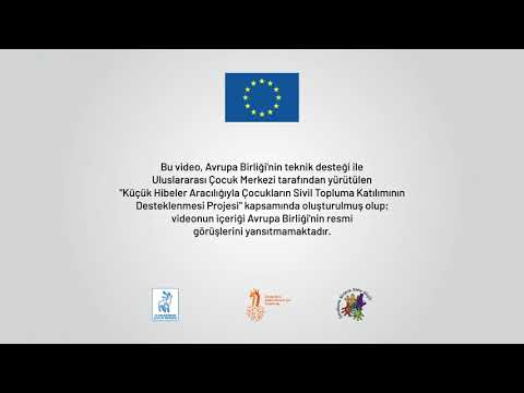Birleşmiş Milletler ve Avrupa Konseyi'nde Çocuk Haklarını Savunmak: Yöntemler ve Fırsatlar