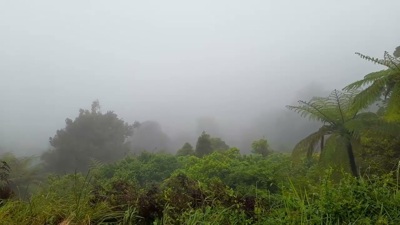 Let's bypass the Mt Messenger bypass ... - YouTube