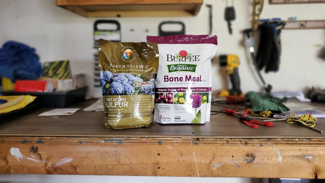Sulfur Pellets for blueberries, and Bone Meal for the Planters # ...