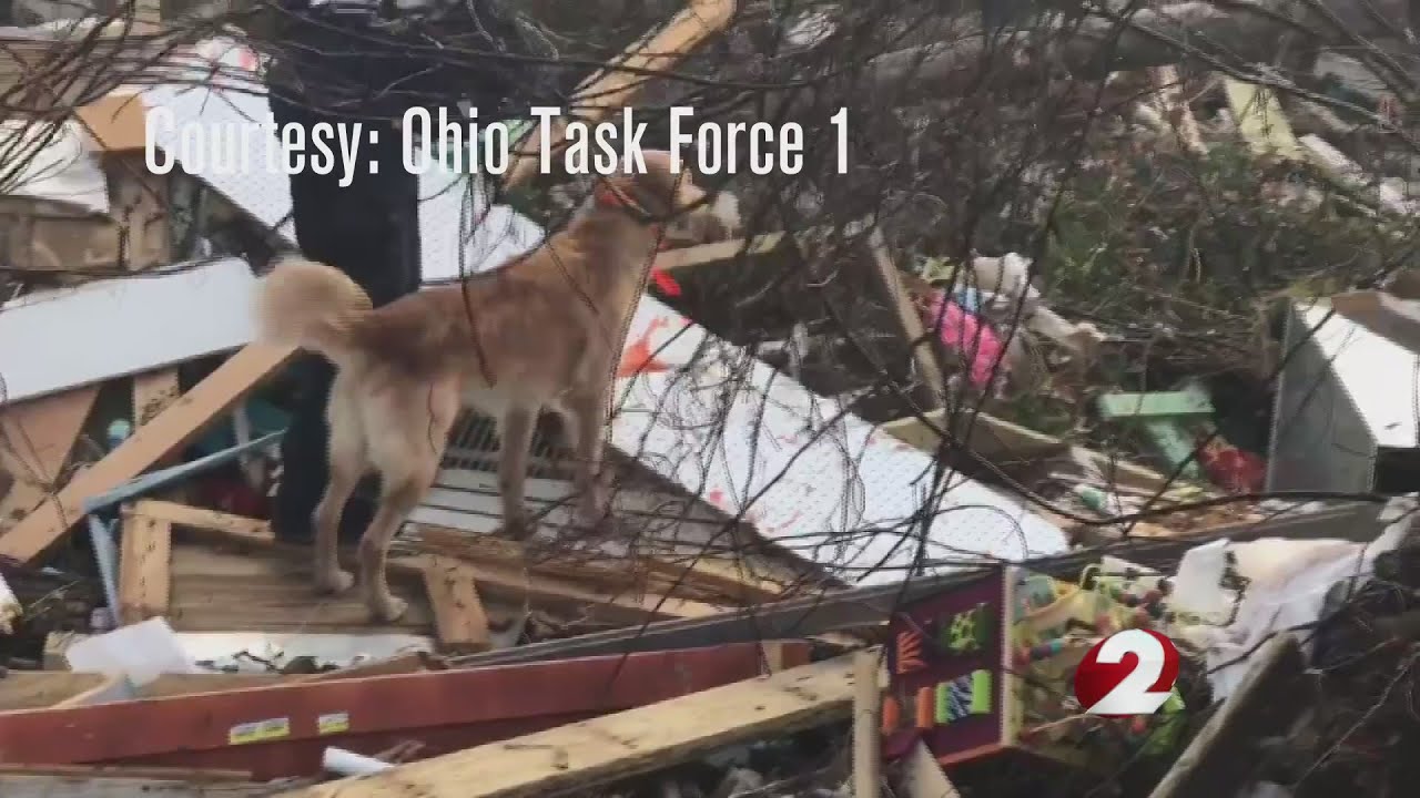 Ohio Task Force 1 deploys cadaver dogs in Florida panhandle - YouTube