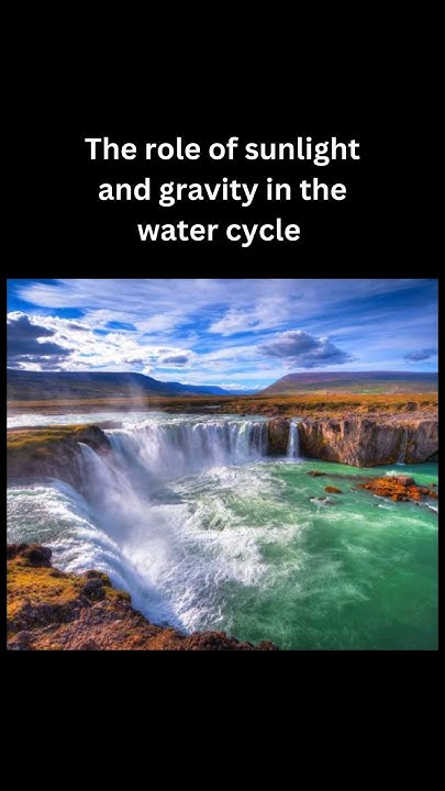 The role of sunlight and gravity in the water cycle.#watercycle # ...