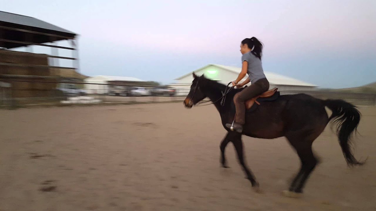 Hiddy-Ho at age 26- still going strong! - YouTube