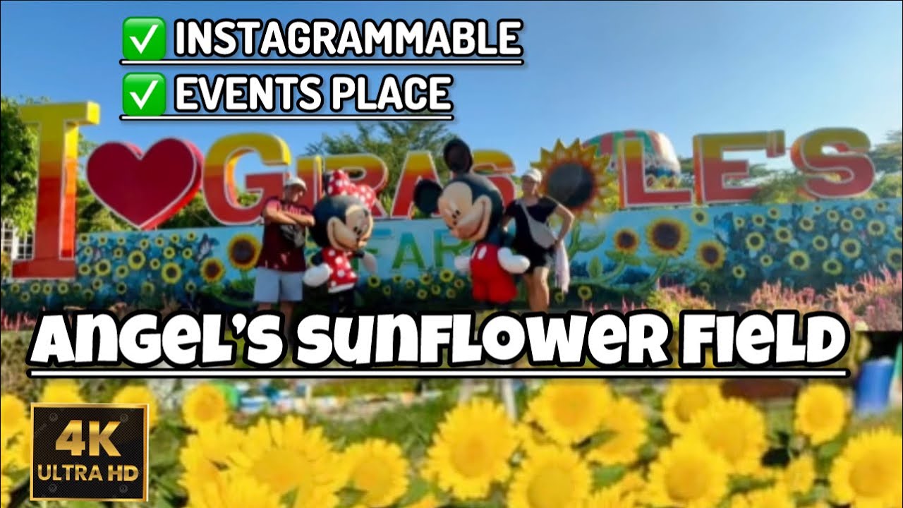 Girasole’s Farm Candelaria Quezon | Angel’s Sunflower Field - YouTube
