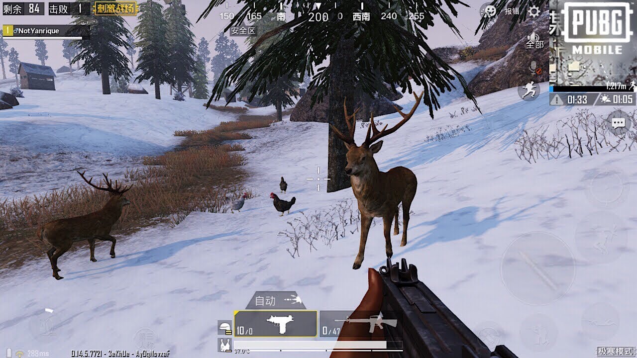 Animals In PUBG Mobile? - YouTube