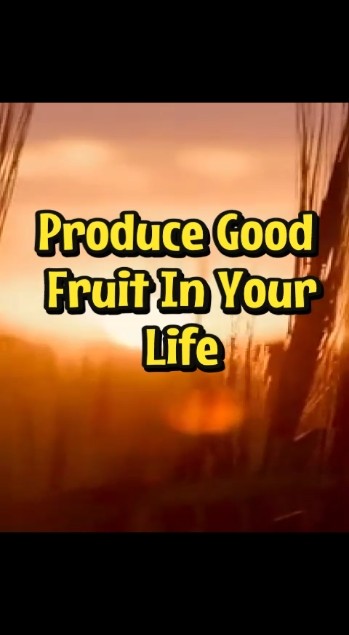 Produce Good Fruit In Your Life #love #graceandfaith #motivation #jesus ...