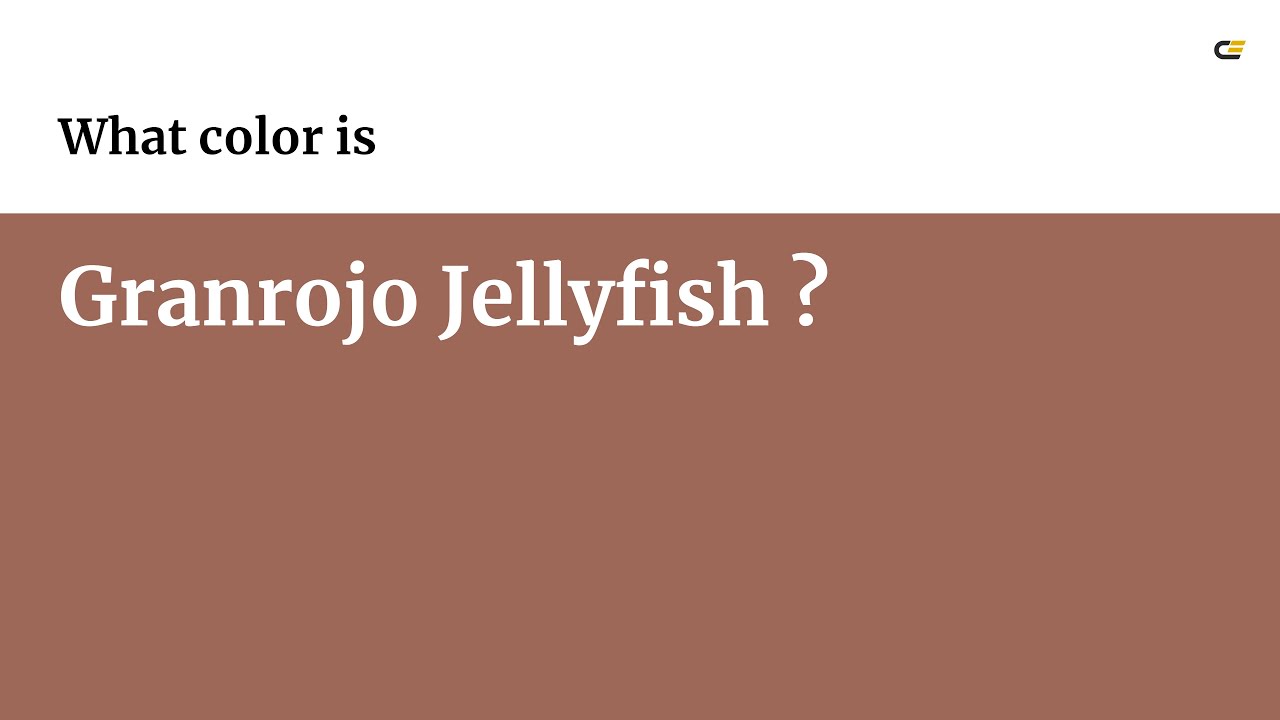 Granrojo Jellyfish color #9e6858 hex color - Brown color - Cool color ...