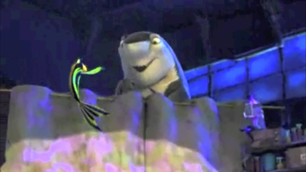 Shark Weekend at the SFAC Promo 1 - YouTube