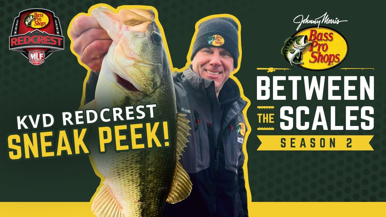 Sneak Peek Of KVD Between The Scales Episode - YouTube