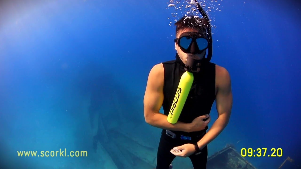 SCORKLing with SHARKS - Ray of Hope wreck, New Providence Island, The ...
