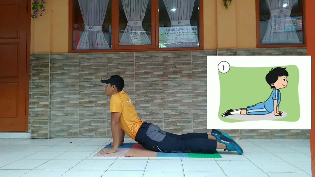 Pola gerak dominan ( Latihan gerak singa laut, gerak push up back up ...